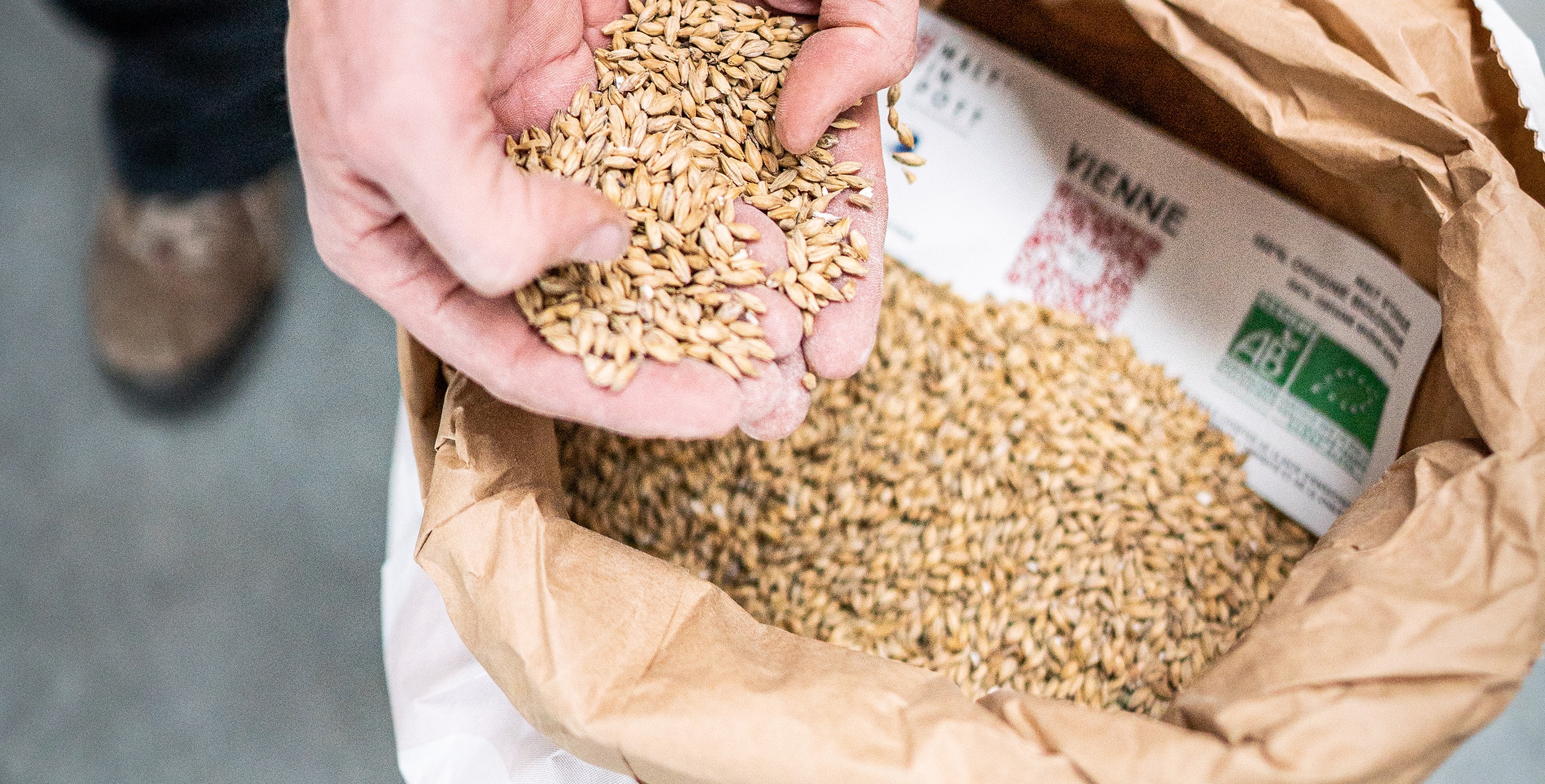 Malt Munich - Maltinpott
